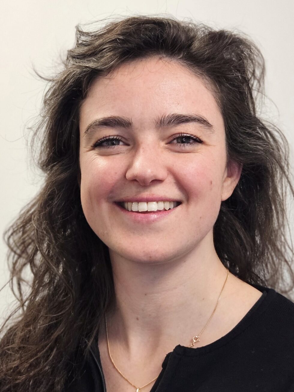 Support Team - Healthcare on Collins